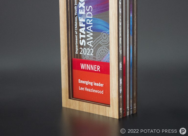 Custom Awards & Event Collateral Archives - Page 2 of 15 - Potato Press